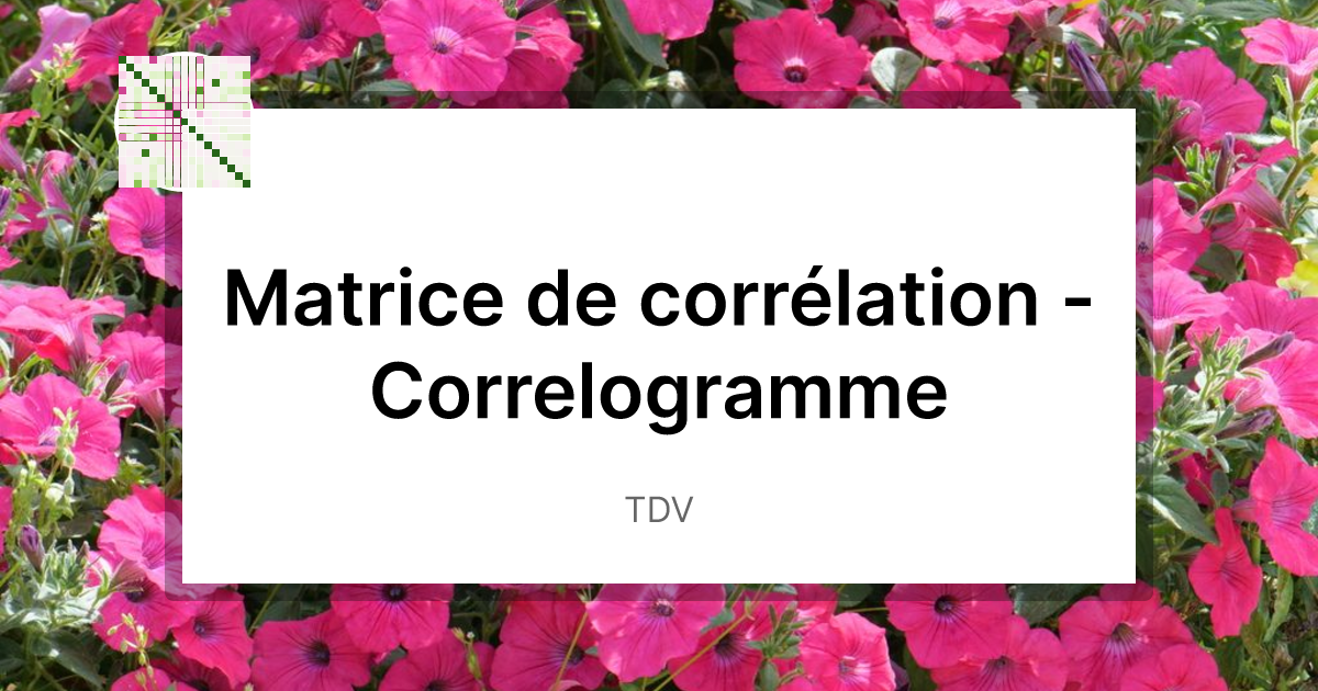 Matrice de corrélation - Correlogramme